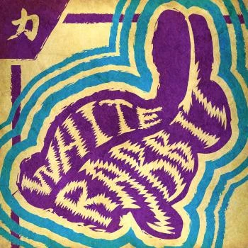 CHIKARA White Rabbit | Pro Wrestling | Fandom