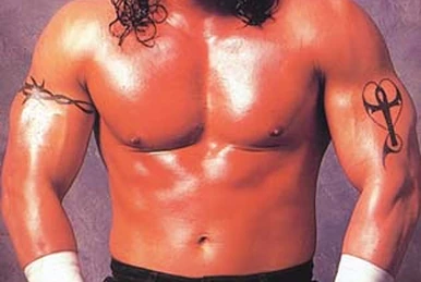 mark hildreth van hammer