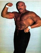 Superstar Billy Graham/Image gallery | Pro Wrestling | Fandom
