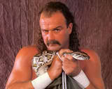 Jake Roberts/Image gallery | Pro Wrestling | Fandom
