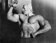 Superstar Billy Graham/Image gallery | Pro Wrestling | Fandom
