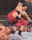 Yokozuna/Image gallery | Pro Wrestling | Fandom