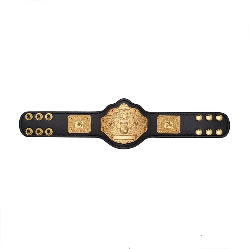 WCW Heavyweight Championship Mini Replica Title Belt | Pro Wrestling ...
