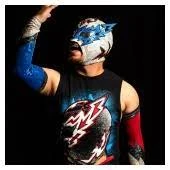 Rayo Plateado/Image gallery | Pro Wrestling | Fandom