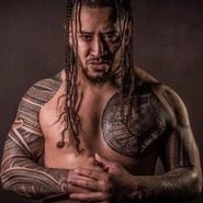 Solo Sikoa/Image gallery | Pro Wrestling | Fandom