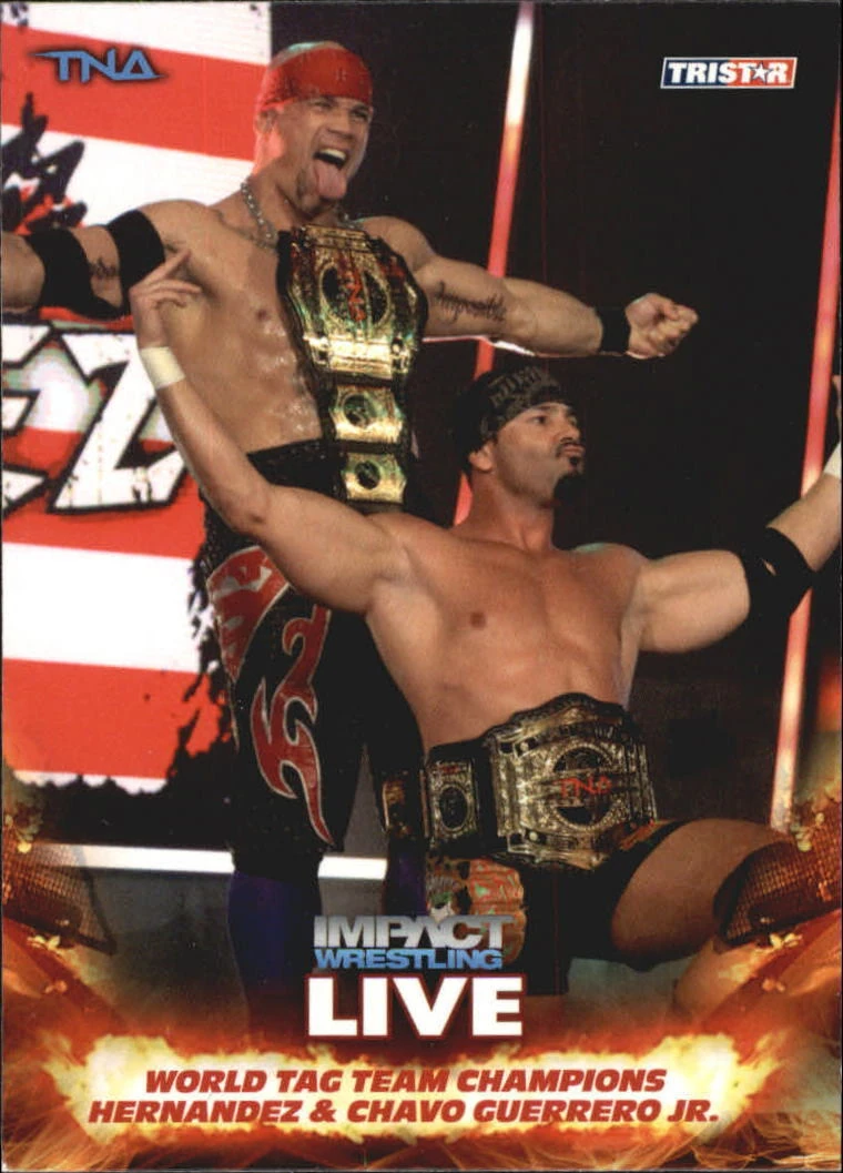 2013 TNA Impact Wrestling Live Trading Cards (Tristar) World Tag Team ...
