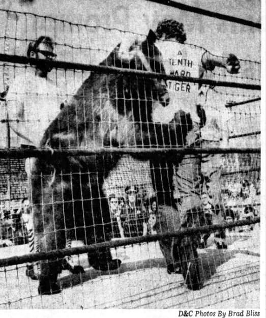 Gentleman Ben/Image gallery | Pro Wrestling | Fandom