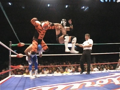 Assisted monkey flip off ramp | Pro Wrestling | Fandom