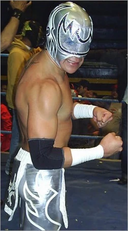 Fly Star | Pro Wrestling | Fandom