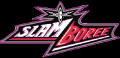 Slamboree | Pro Wrestling | Fandom
