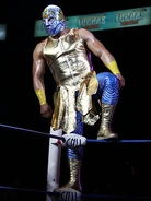 Valiente/Image gallery | Pro Wrestling | Fandom