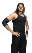Shanky/Image gallery | Pro Wrestling | Fandom