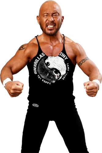 Jado | Pro Wrestling | Fandom