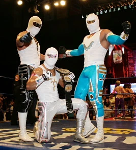 Super Sky Team/Image gallery | Pro Wrestling | Fandom