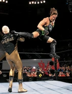 No Way Out 2002/Image gallery | Pro Wrestling | Fandom