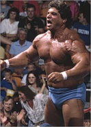 Don Muraco/Image gallery | Pro Wrestling | Fandom