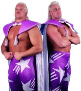 The Beverly Brothers/Image gallery | Pro Wrestling | Fandom