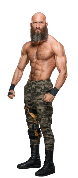 Tommaso Ciampa | Pro Wrestling | Fandom