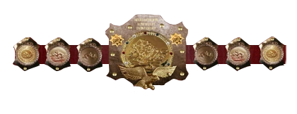 WWE Intercontinental Championship/Champion gallery | Pro Wrestling | Fandom