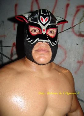 Astuto/Image gallery | Pro Wrestling | Fandom