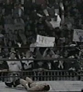 SuperBrawl IX/Image gallery | Pro Wrestling | Fandom