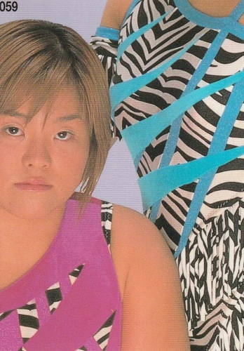 2001 All Japan Woman's Wrestling Sakurado Zenjo Vol. 2 Miho Wakizawa-Kayo Noumi-Nanae Takahashi ...