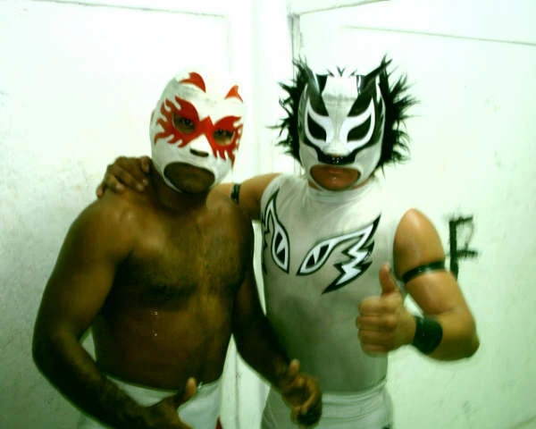 Wild Cat | Pro Wrestling | Fandom
