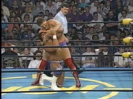 Fall Brawl 1994/Image gallery | Pro Wrestling | Fandom