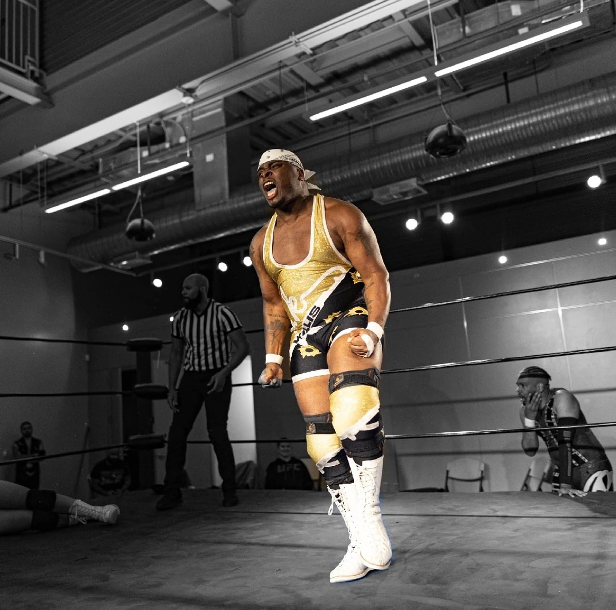 AK Willis | Pro Wrestling | Fandom