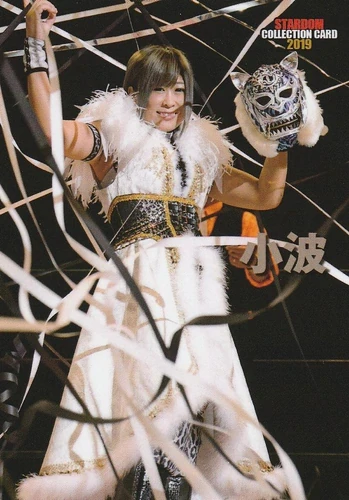 2019 Stardom Collection Card Konami (No.53) | Pro Wrestling | Fandom