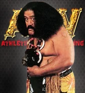 Afa/Image gallery | Pro Wrestling | Fandom