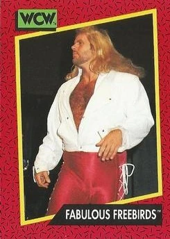 1991 WCW (Impel) Fabulous Freebirds (No.125) | Pro Wrestling | Fandom