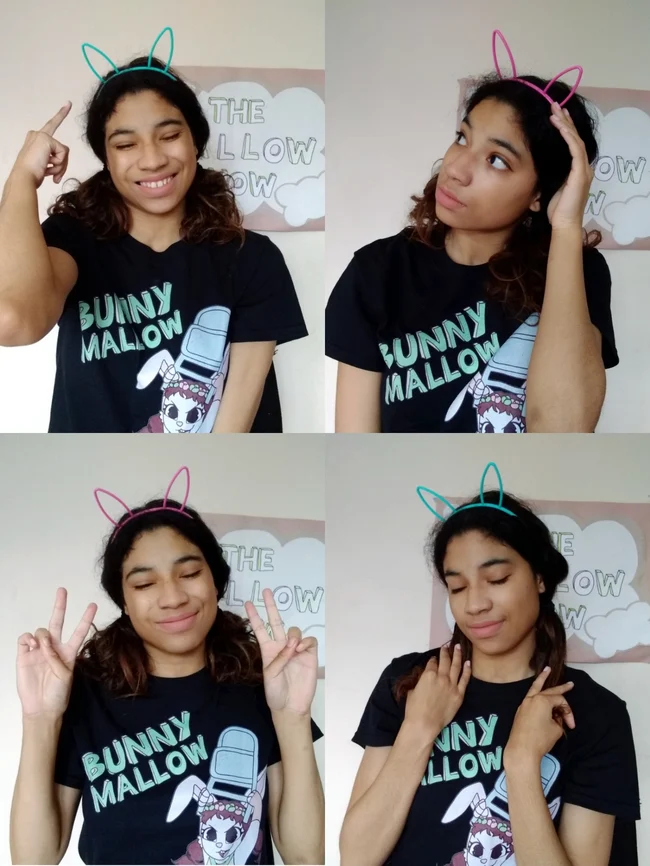 Bunny Mallow - Bunny Ears | Pro Wrestling | Fandom