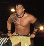 Hawaiian Lion/Image gallery | Pro Wrestling | Fandom