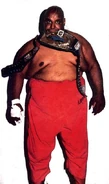 Abdullah the Butcher/Image gallery | Pro Wrestling | Fandom