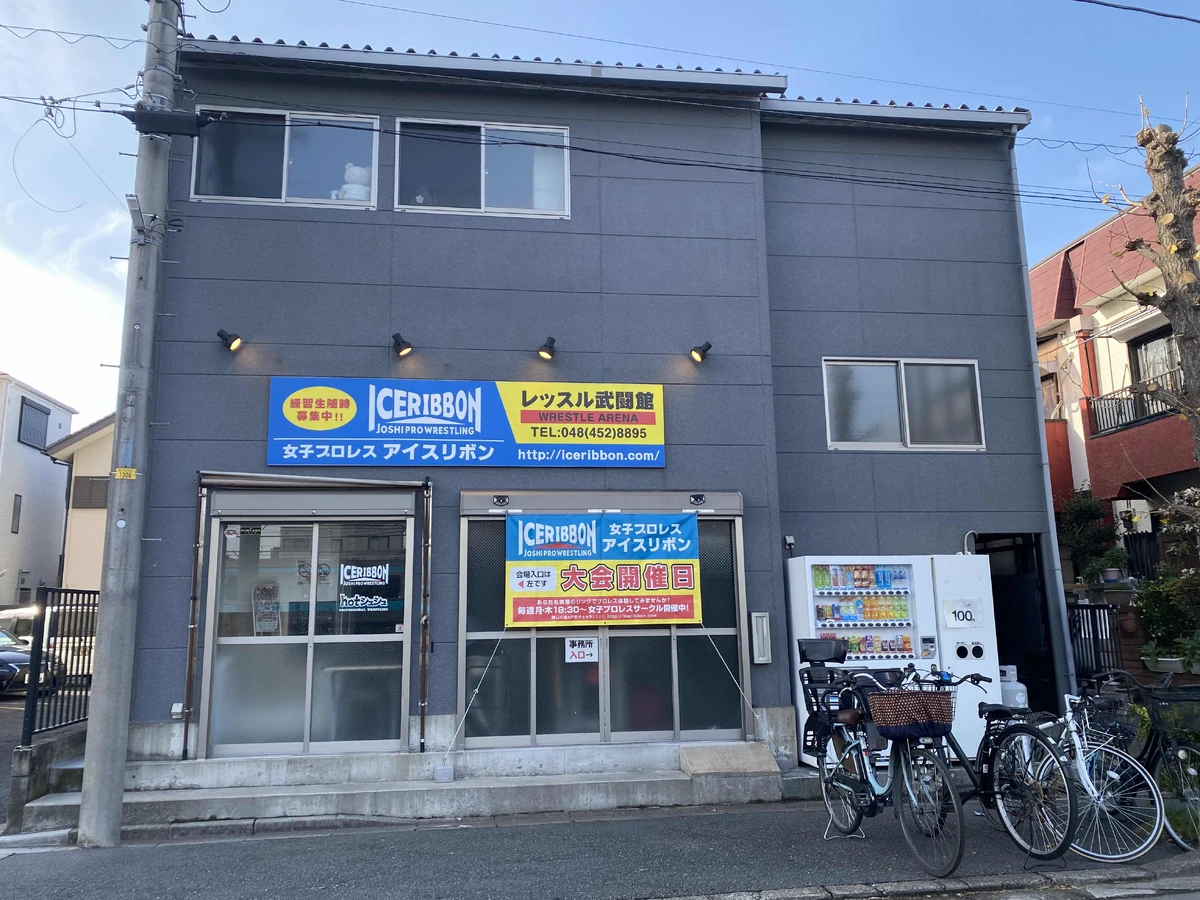 Ice Ribbon Dojo | Pro Wrestling | Fandom