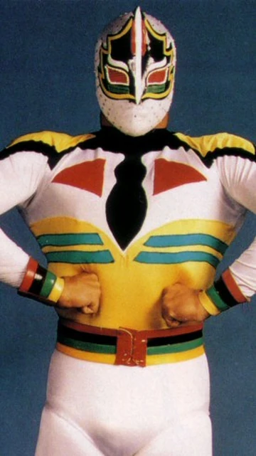 Wwe Mascarita Sagrada