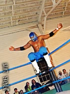 Menace/Image gallery | Pro Wrestling | Fandom