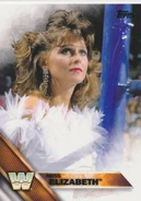 Miss Elizabeth/Merchandise | Pro Wrestling | Fandom
