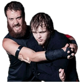 Reign of Insane | Pro Wrestling | Fandom