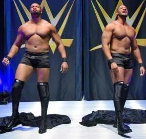 The Ealy Brothers | Pro Wrestling | Fandom