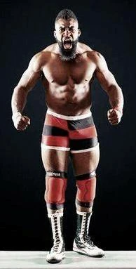 Terrale Tempo | Pro Wrestling | Fandom