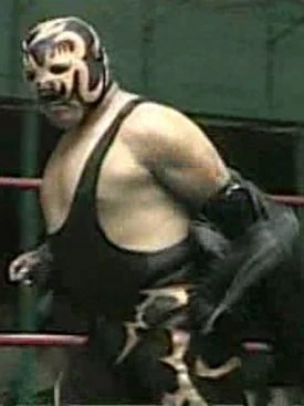 Zigma | Pro Wrestling | Fandom