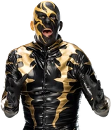Goldust/Image gallery | Pro Wrestling | Fandom