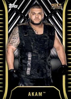 2018 WWE NXT (Topps) Akam (No.2) | Pro Wrestling | Fandom