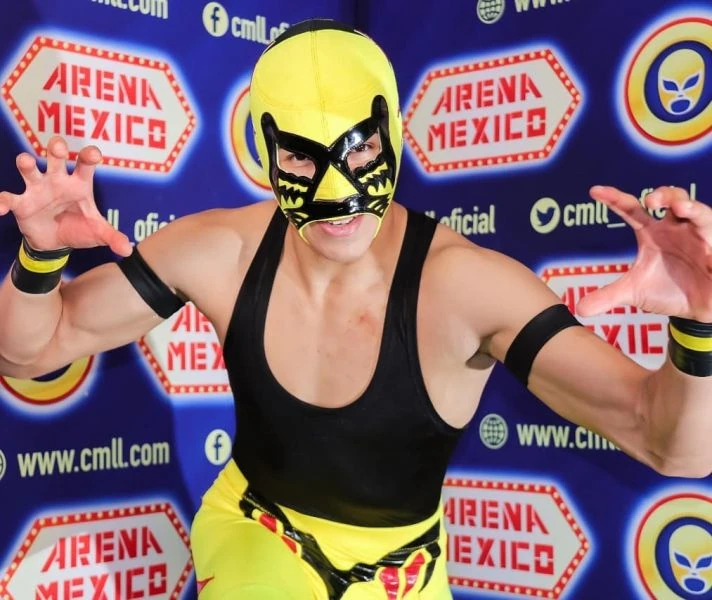 Panterita del Ring Jr./Image gallery | Pro Wrestling | Fandom