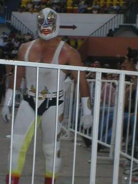 Angelito Vengador | Pro Wrestling | Fandom