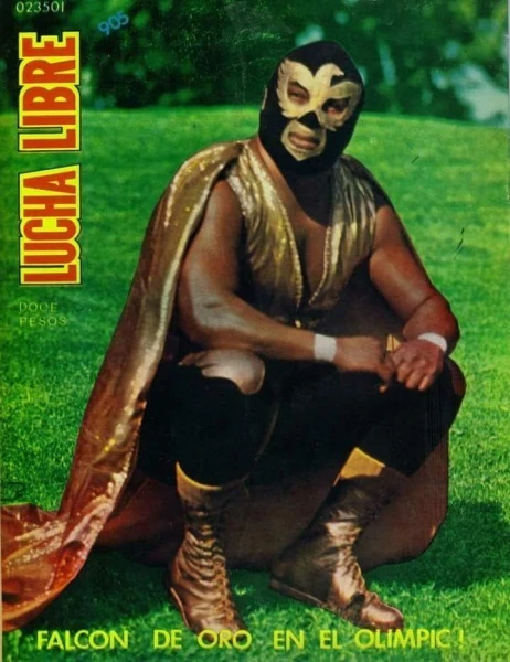 Lucha Libre 905 | Pro Wrestling | Fandom