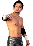 Seiki Yoshioka/Image gallery | Pro Wrestling | Fandom
