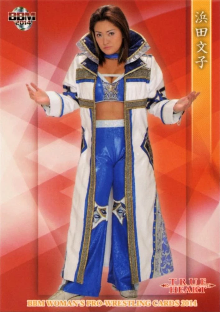 2014 BBM True Heart Japanese Women's Pro Wrestling Ayako Hamada (No.74 ...